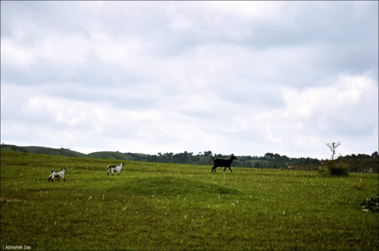 Nongkhnum River Island | Meghalaya | Solitary Traveller