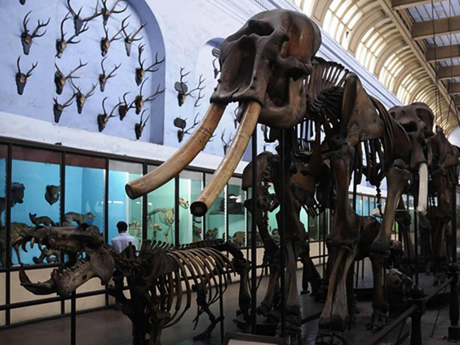 10 Famous Museums in India for Every History Buffs | Feature Articles ...