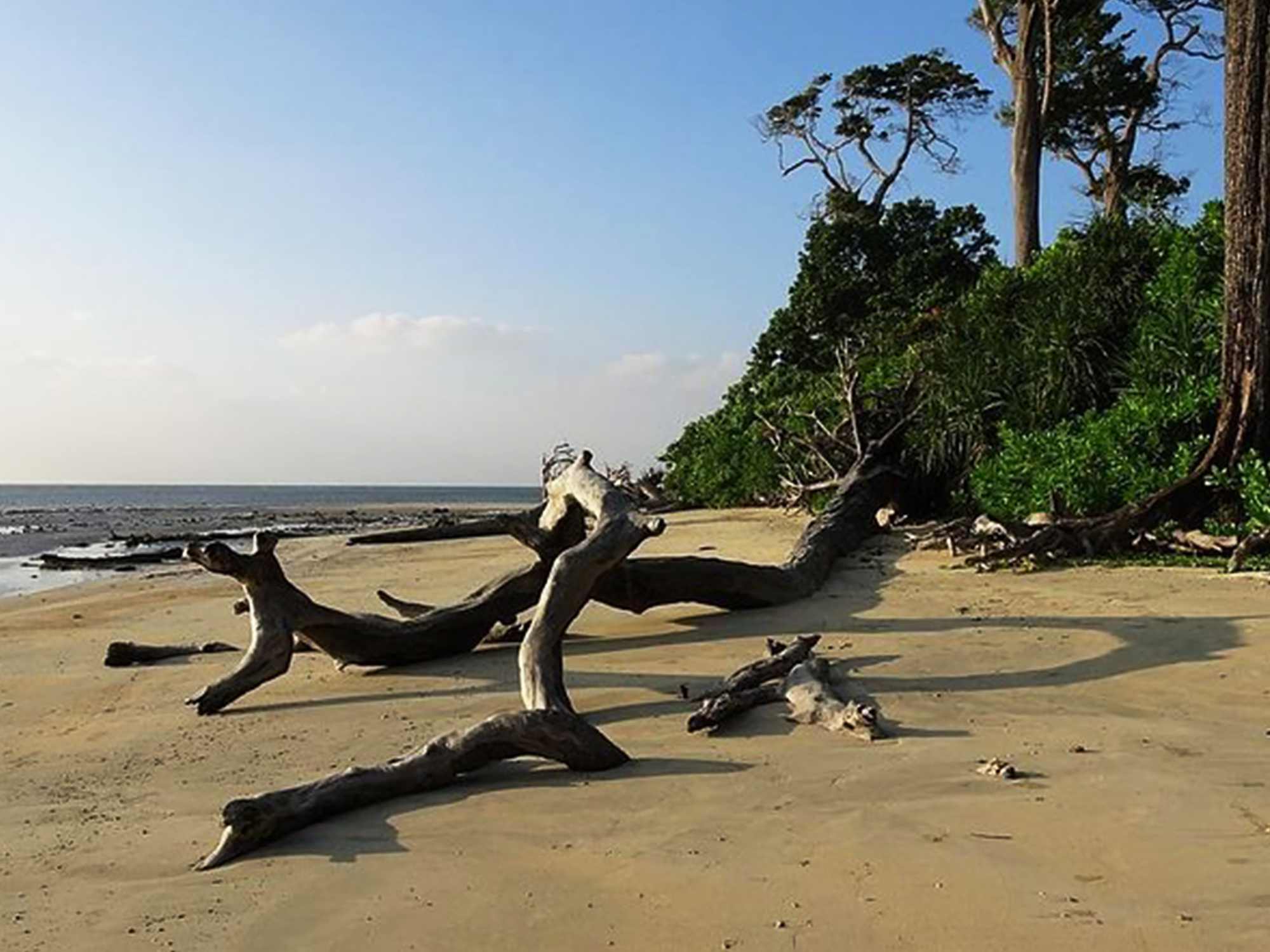 10 Gorgeous Beaches Of India You Haven’t Heard Before! | Feature ...