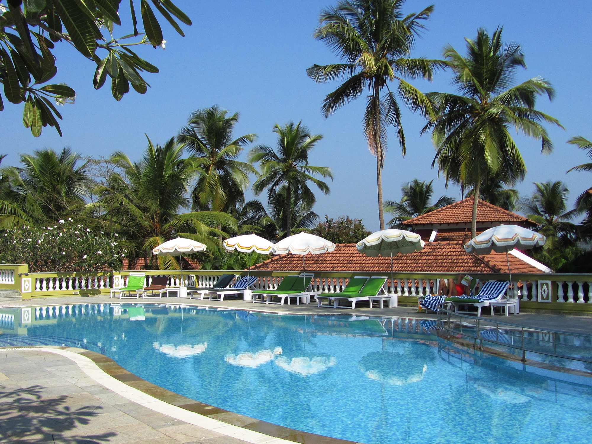 Reconnect with Nature and Wellness: Explore the Best Ayurvedic Retreats ...